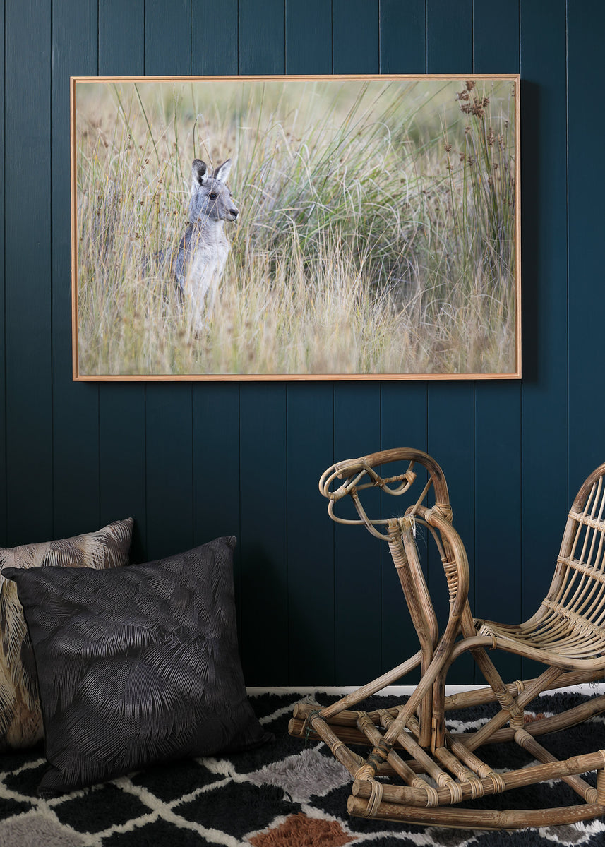 Amelia Anderson On the Lookout – Southwood